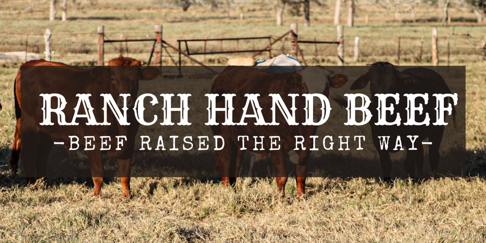 Ranch Hand Beef - Bulk Beef Source